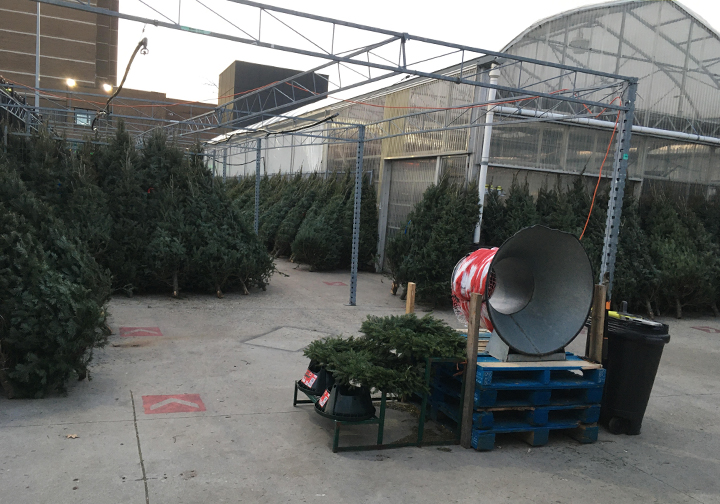 How It Works – The Real Tree Christmas Tree Co.